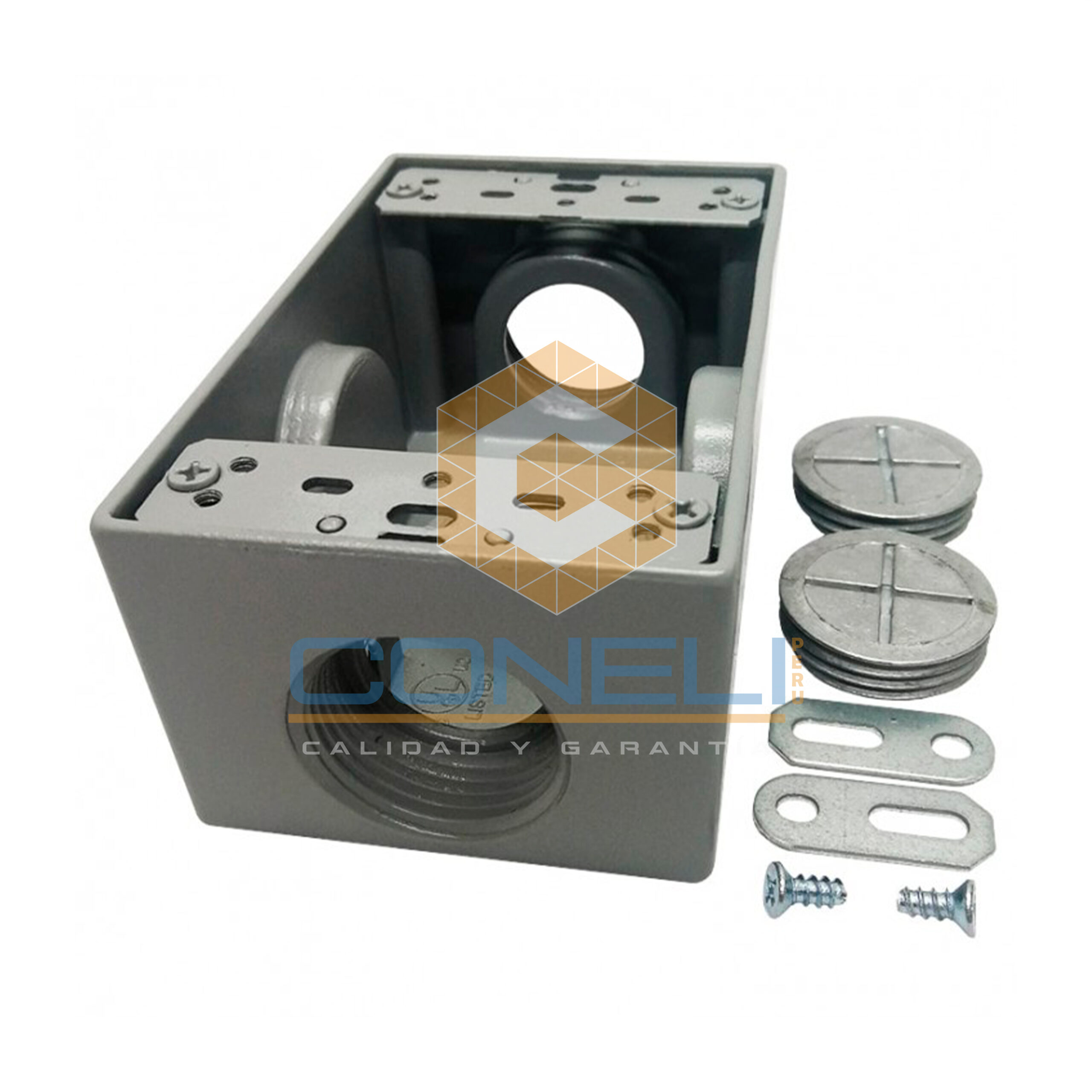 CAJA RECTANGULAR FS – Coneli Peru Sac